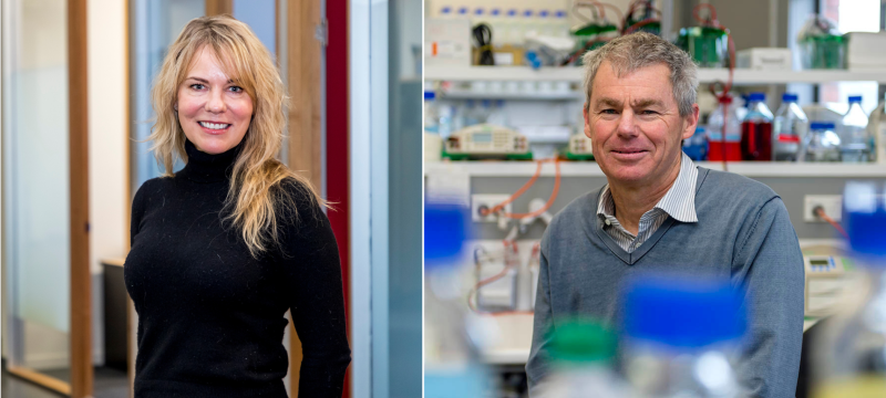 Kjesten Wiig appointed Director of Malaghan Institute as Graham Le Gros ...