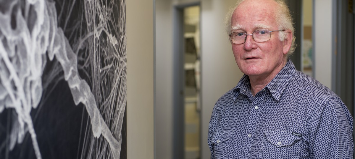 Cancer cells need mitochondria to grow tumours