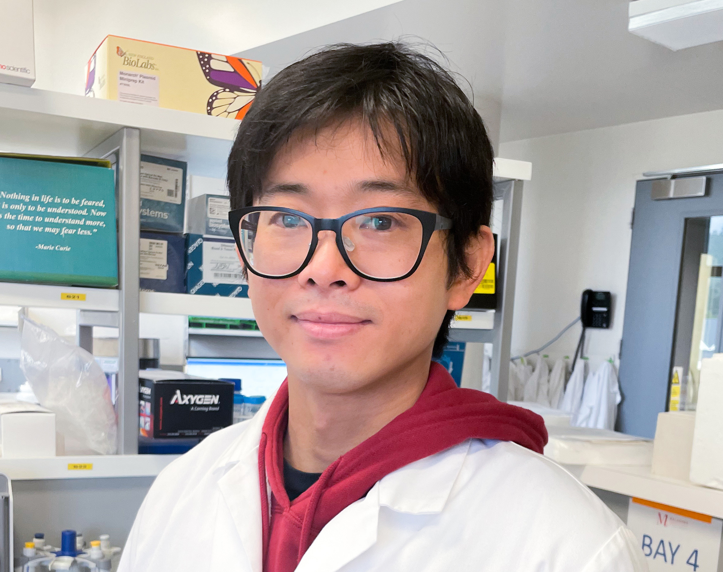 Health Research Council to fund clinical study investigating the skin’s ...