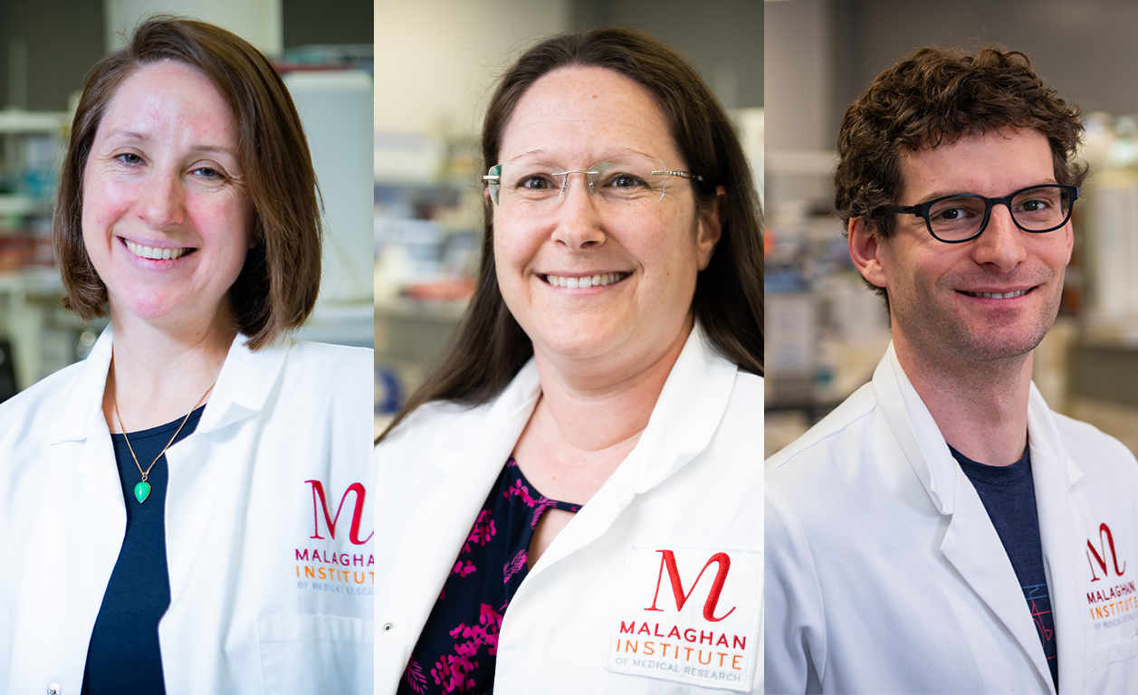 New funding supports cutting-edge research into immune cell metabolism