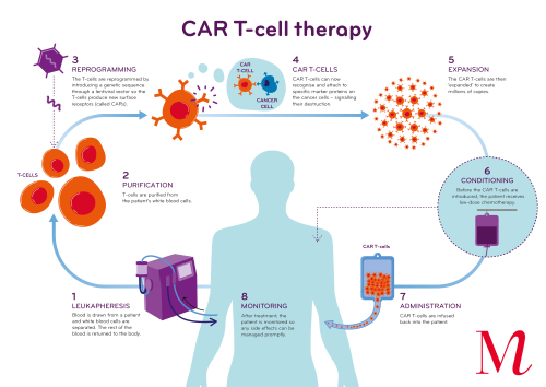 CAR T-cell cancer immunotherapy