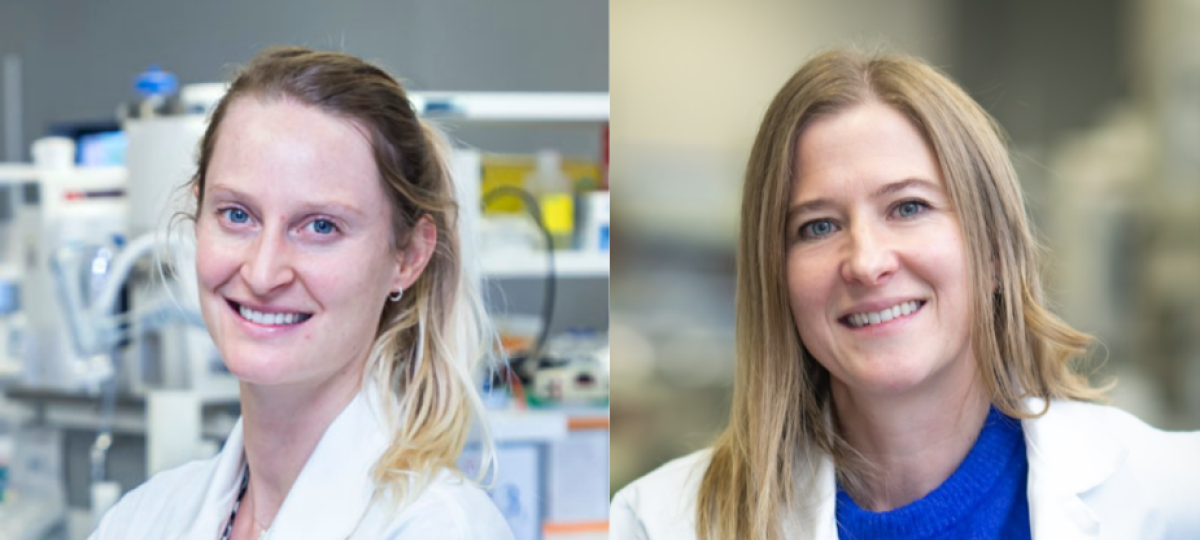 Malaghan scientists appointed in leadership roles in New Zealand's RNA ...
